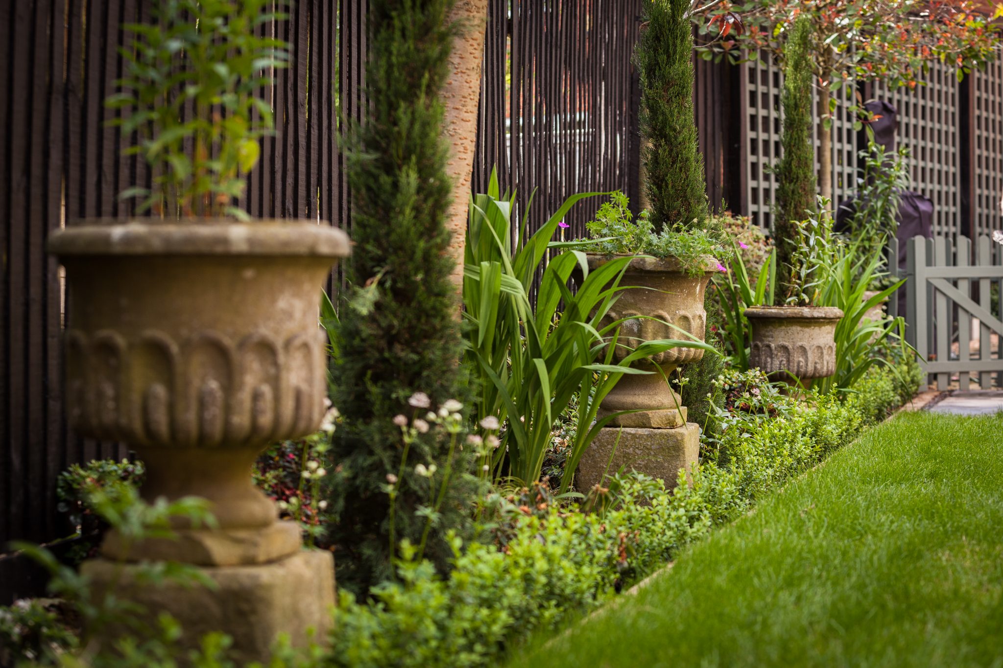 Garden Design Service - Mimosa Garden Design & Installation